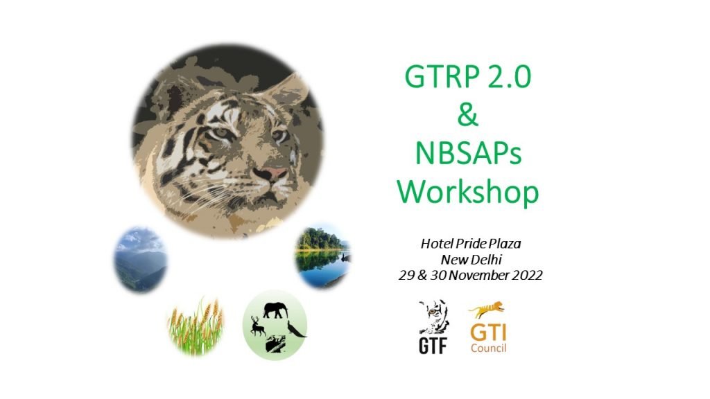GTRP 2.0 and NBSAPs workshop – Global Tiger Forum