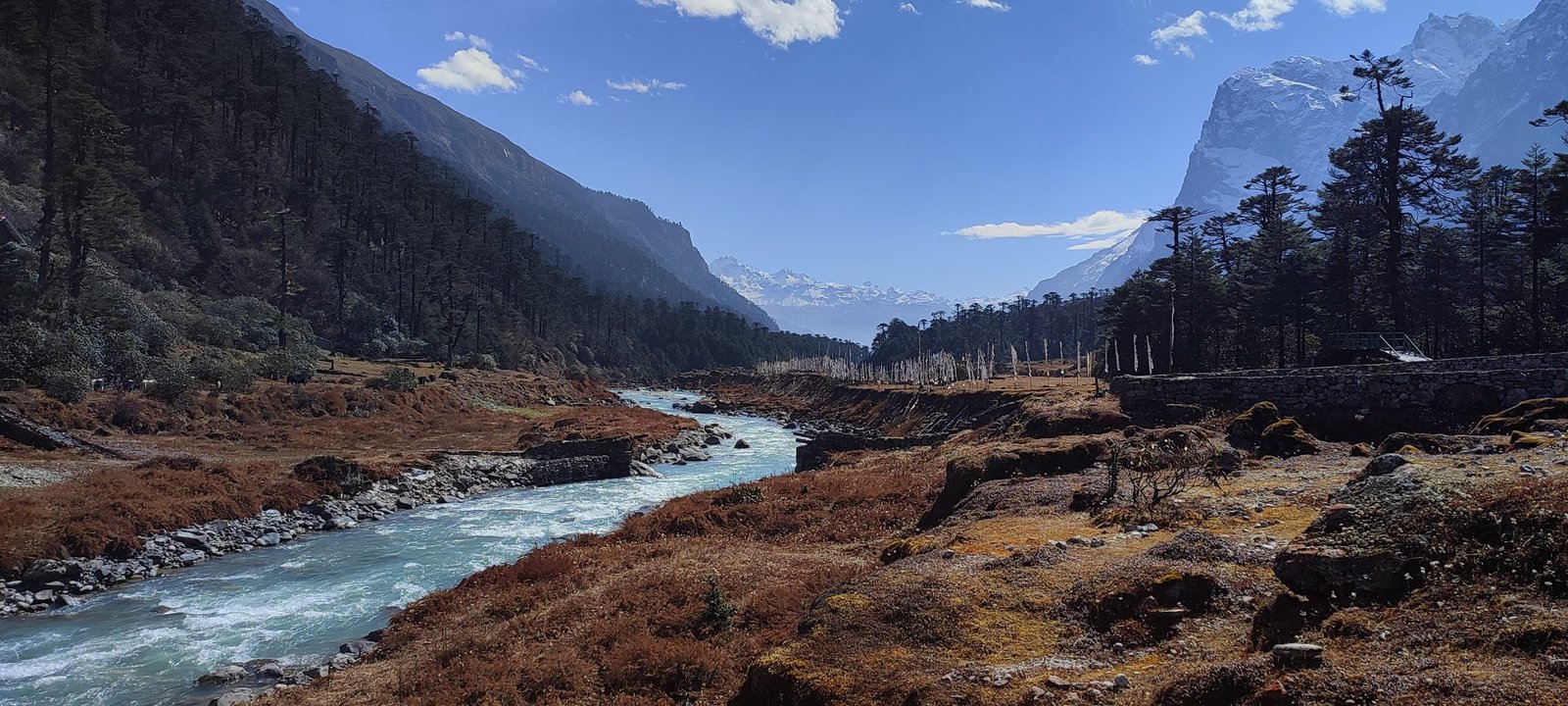 Investigating and Addressing Tiger Conservation in Sikkim – Global ...